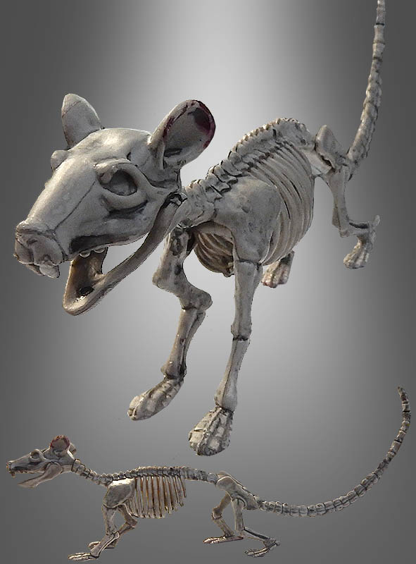 Skeleton Rat Halloween Decoration buy here » Kostümpalast